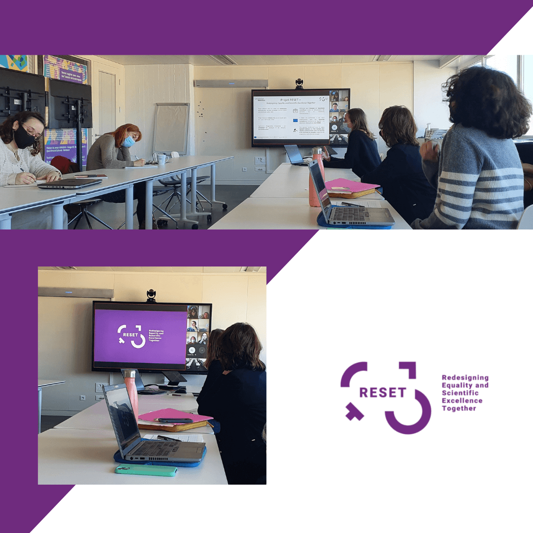 RESET: approaching the locality - RESET Project